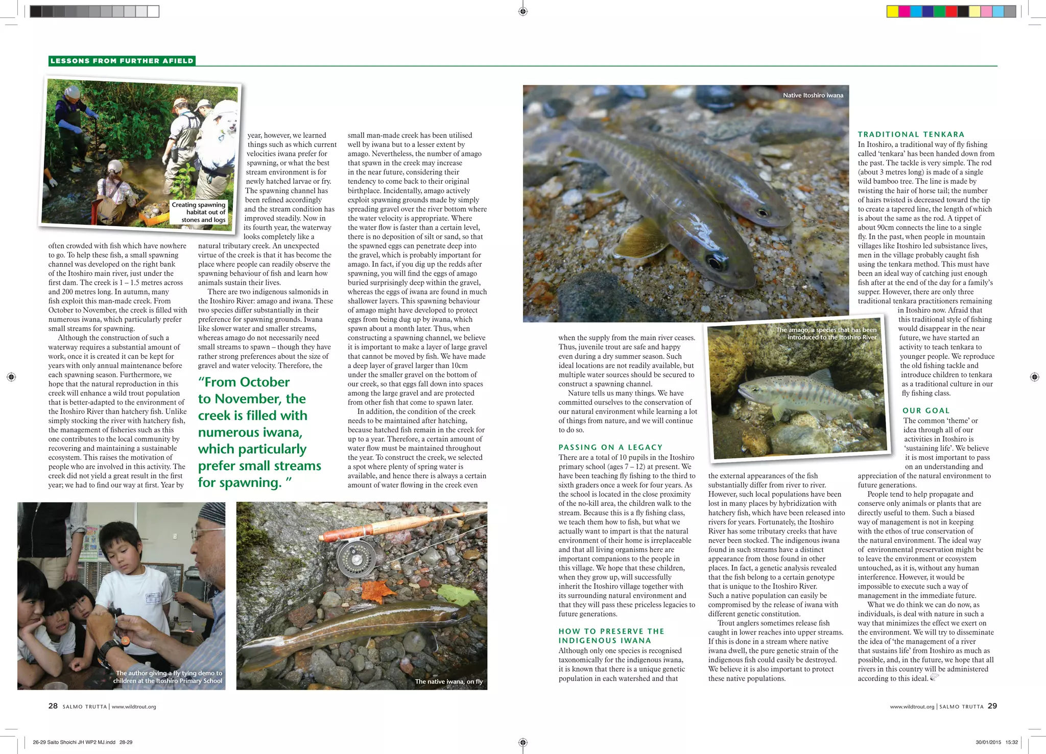 Shouchi Saitou: Conserving the Trout & Tenkara of Itoshiro | PDF