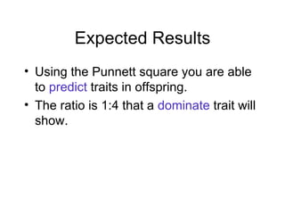 26 2 expected observed results | PPT | Genetics | Science