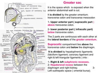 26-Liver& biliary.ppt1⅗a | PPT