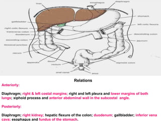 26-Liver& biliary.ppt1⅗a | PPT
