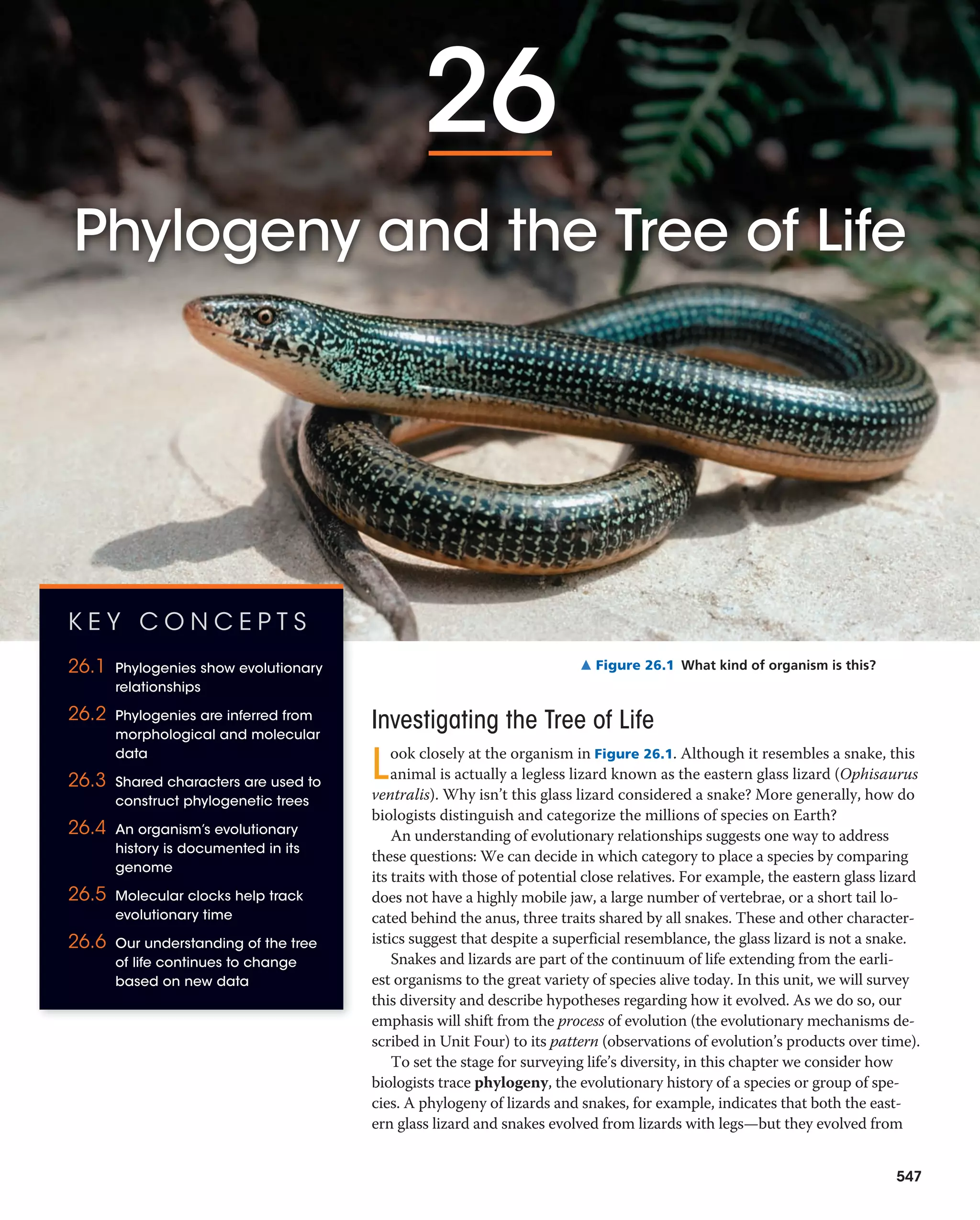 26 phylogeny and the tree of life | PDF