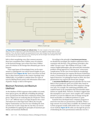 26 phylogeny and the tree of life | PDF