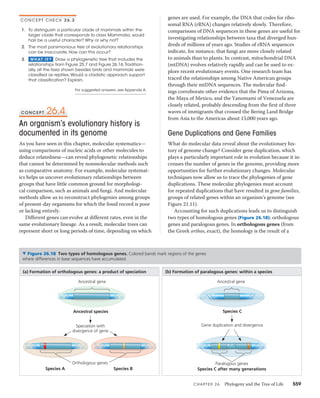 26 phylogeny and the tree of life | PDF