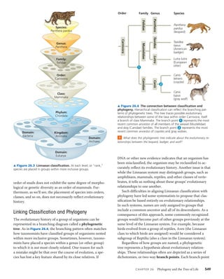 26 phylogeny and the tree of life | PDF