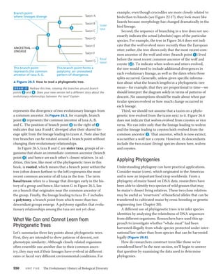 26 phylogeny and the tree of life | PDF
