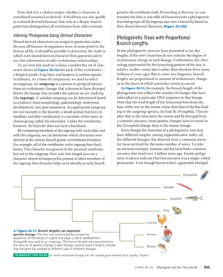 26 phylogeny and the tree of life | PDF