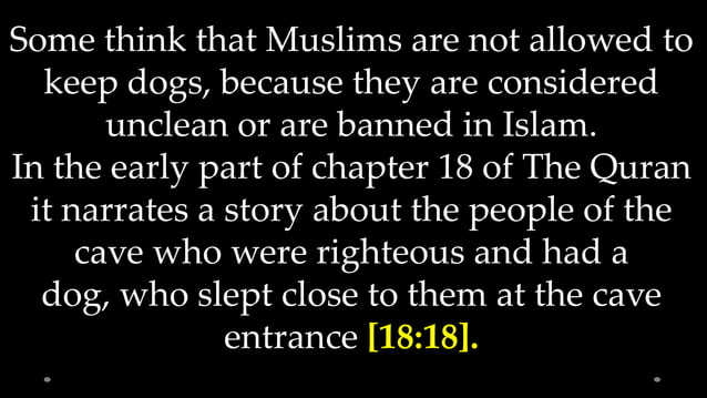 26. quran prohibits dog as a pet | PPT