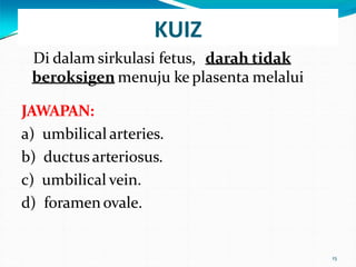 sirkulasi fetus | PPTX