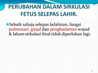 sirkulasi fetus | PPTX