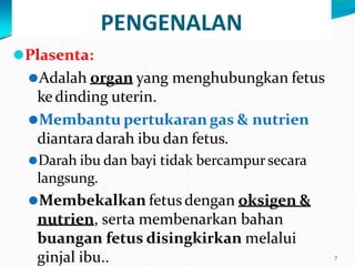 sirkulasi fetus | PPTX