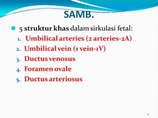 sirkulasi fetus | PPTX