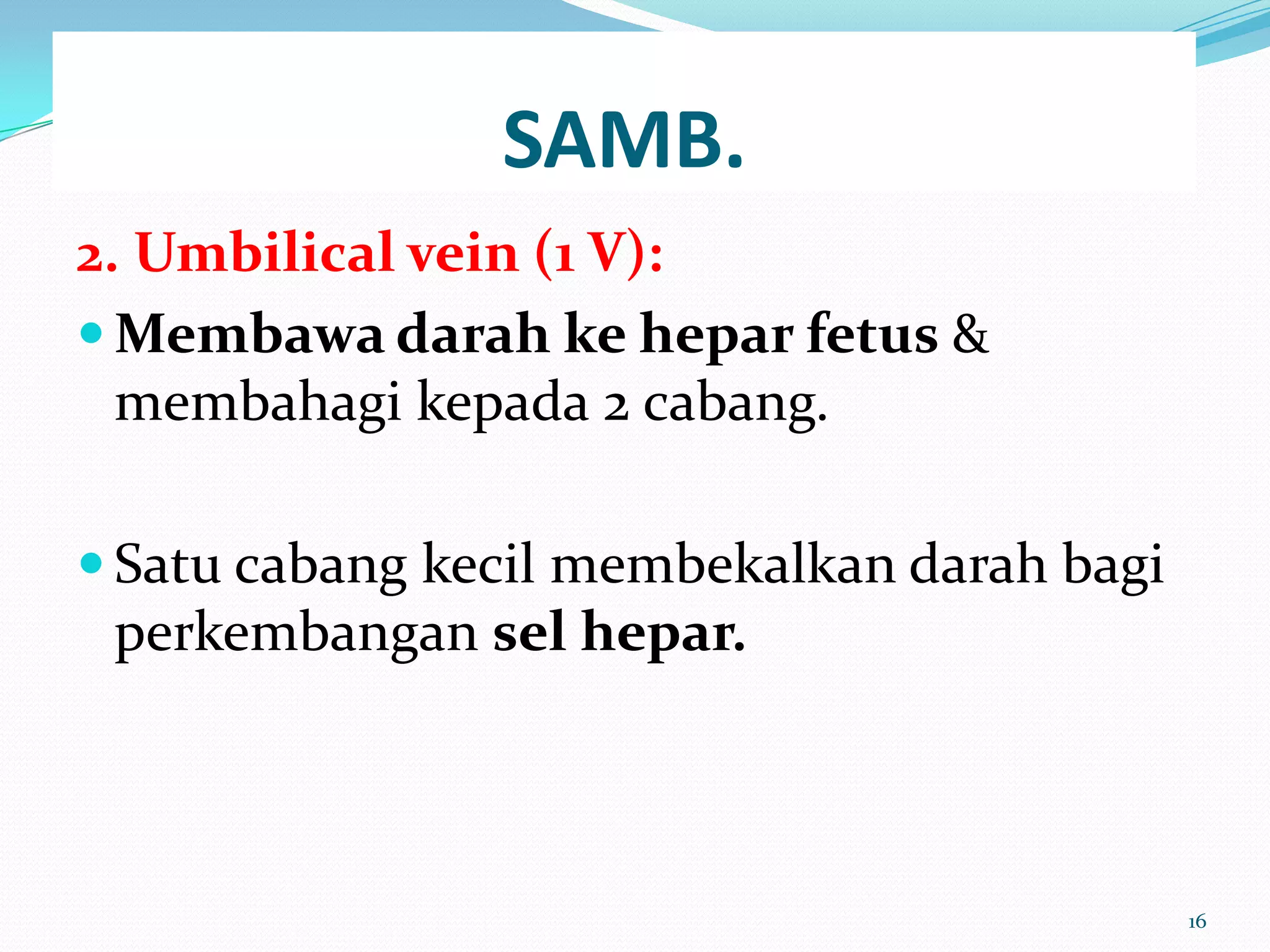 26. sirkulasi fetal | PPSX