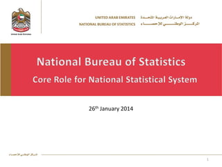 "NAtional Bureau os Statistics Core Role for National Statistical ...