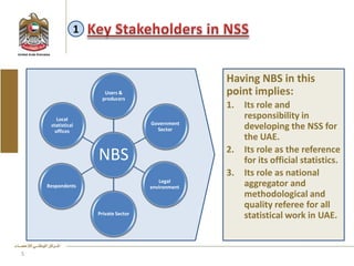 "NAtional Bureau os Statistics Core Role for National Statistical ...