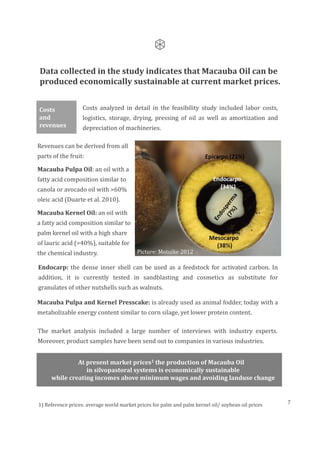 26062013 executive summary macauba feasibility study | PDF