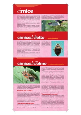 261 cimici | PDF
