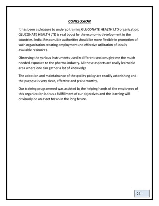 INDUSTRIAL TRAINING REPORT | PDF