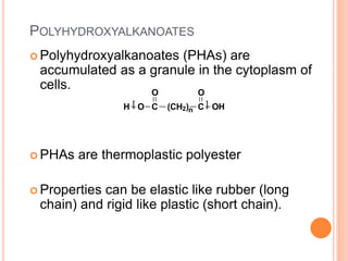 261252851 biodegradable-materials-ppt | PPT