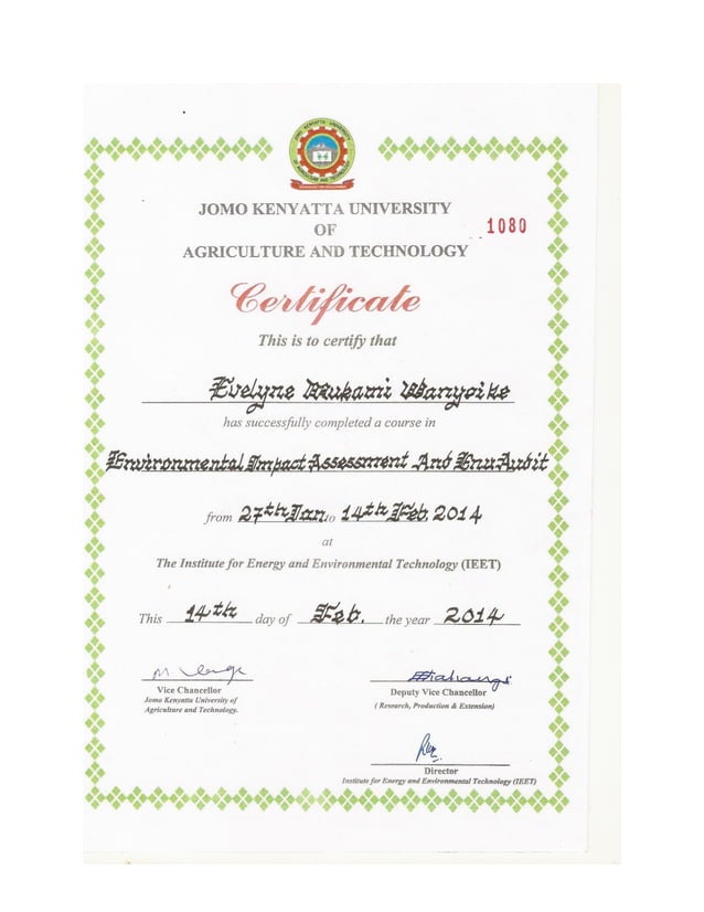Environmental Impact Assessment Certificate | PDF