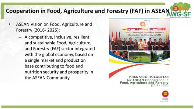 26 1400 2_awg-sf_regional platforms | PDF | Agriculture | Industries