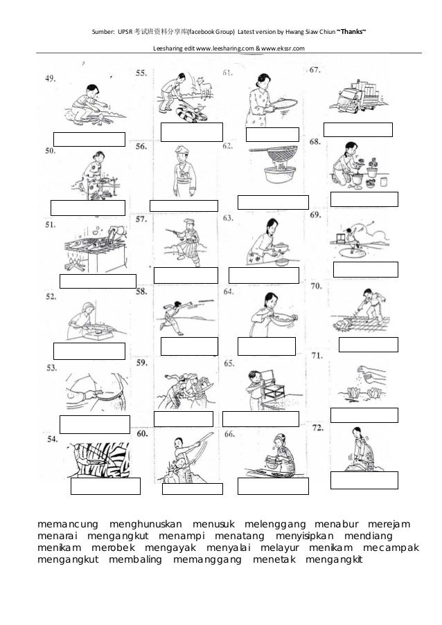 latihan-kata-kerja-bergambar