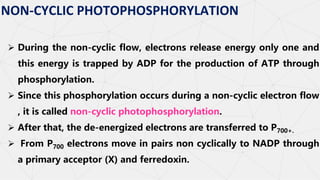 Electron Transport Chain & Oxidative Photophosphorylation | PPTX