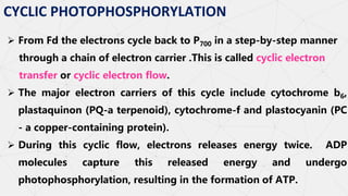 Electron Transport Chain & Oxidative Photophosphorylation | PPTX