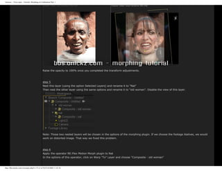 CombustionREFlexMorphing | PDF