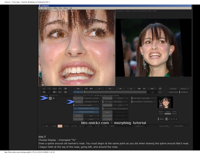 CombustionREFlexMorphing | PDF
