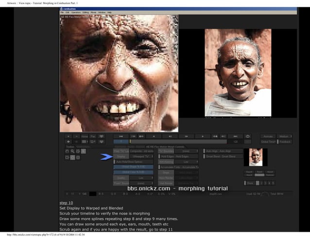 CombustionREFlexMorphing | PDF