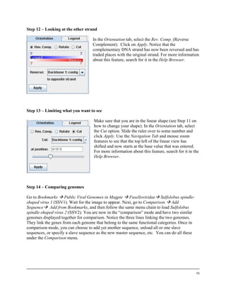 bluejay_basic_tutorial | PDF