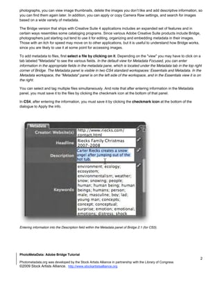 meta-tutorial-adobe-bridge | PDF