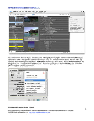 meta-tutorial-adobe-bridge | PDF