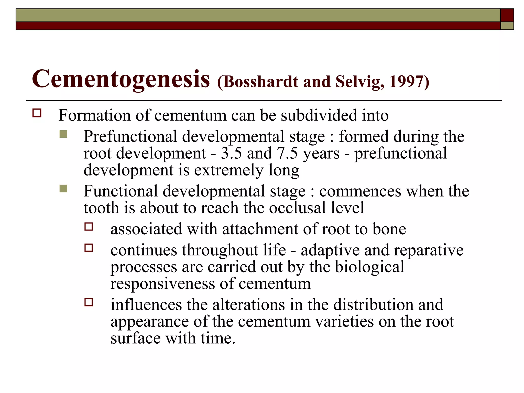 262333569 cementum-in-health-and-disease-ppt | PPT