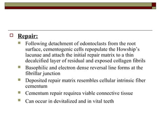 262333569 cementum-in-health-and-disease-ppt | PPT