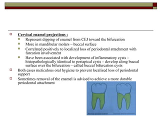 262333569 cementum-in-health-and-disease-ppt | PPT