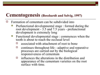 262333569 cementum-in-health-and-disease-ppt | PPT