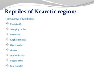 Reptiles of Nearctic region | PPTX