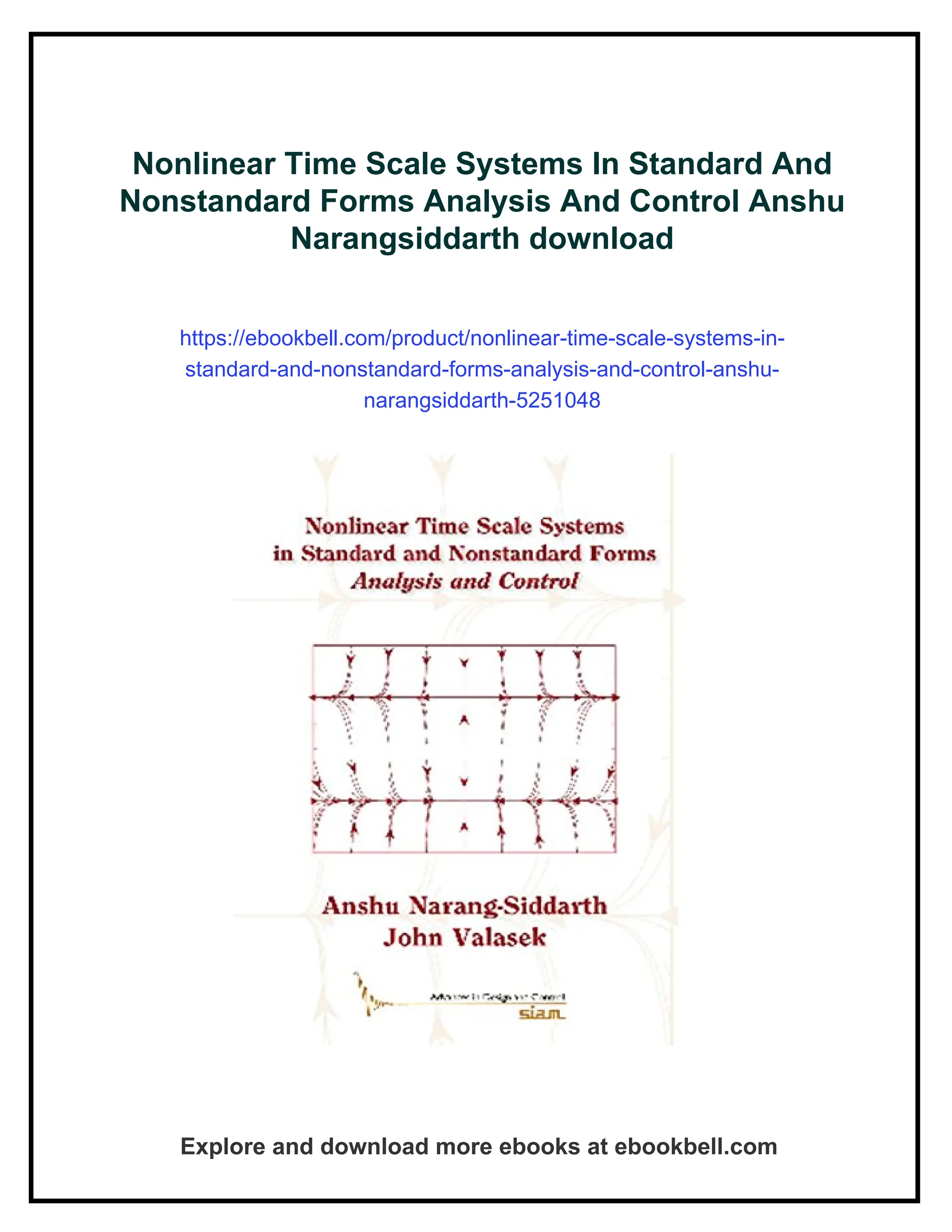 Nonlinear Time Scale Systems In Standard And Nonstandard Forms Analysis And Control Anshu ...