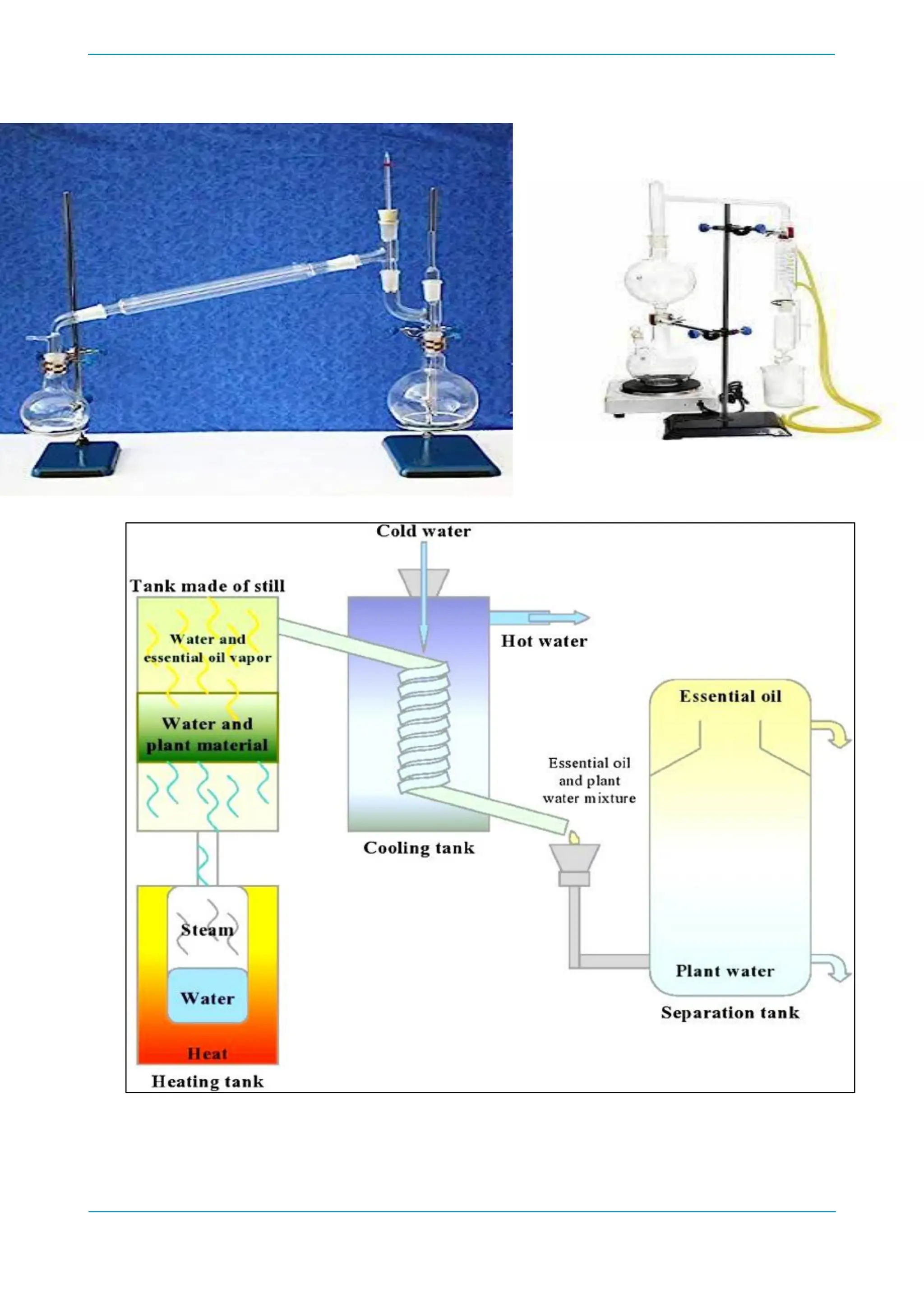 Chemistry Project Extraction of Essential Oils Present in Aniseed(Saunf ...