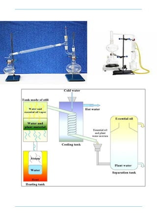 Chemistry Project Extraction of Essential Oils Present in Aniseed(Saunf ...