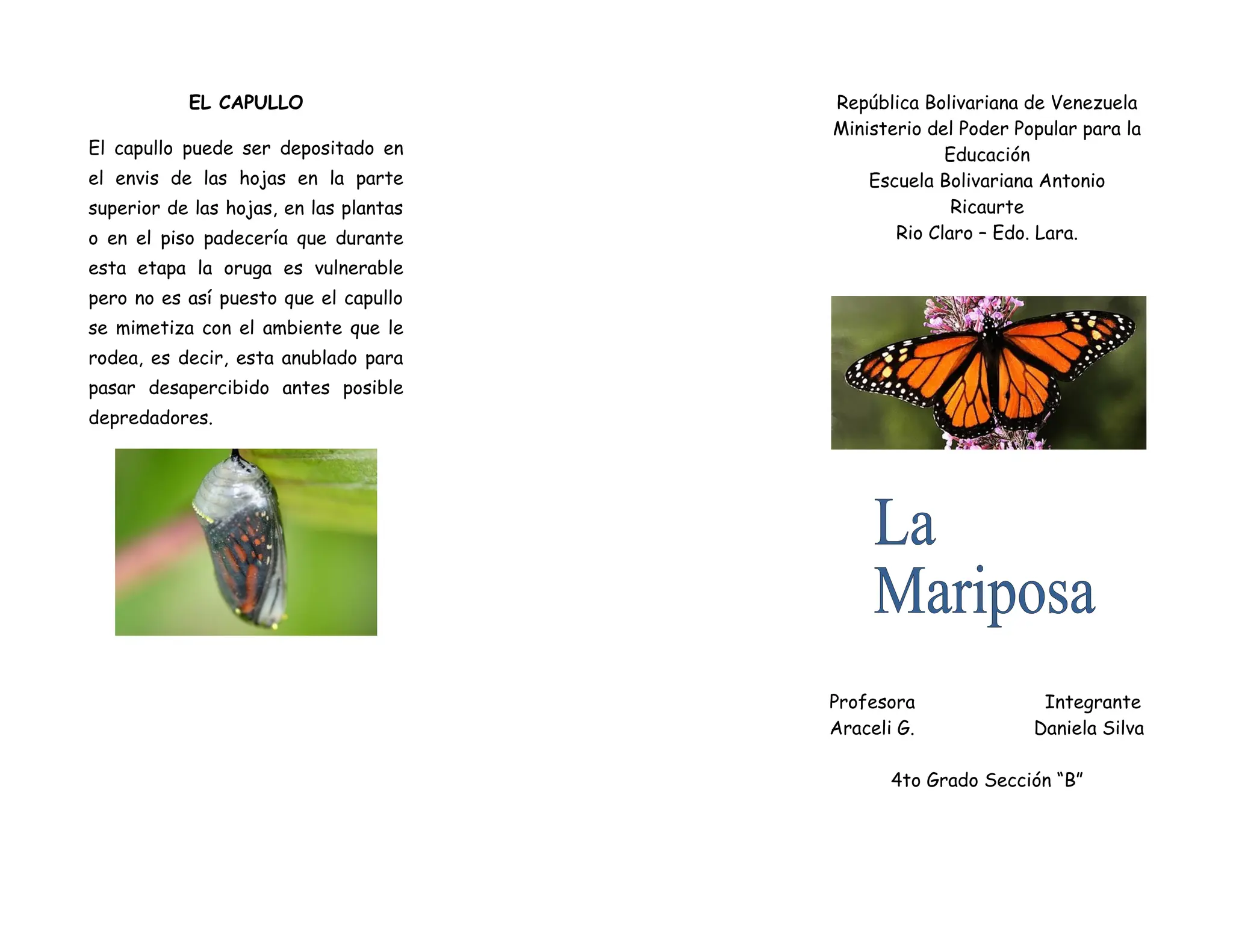 Las-Mariposas-Triptico escolar primarias | DOCX
