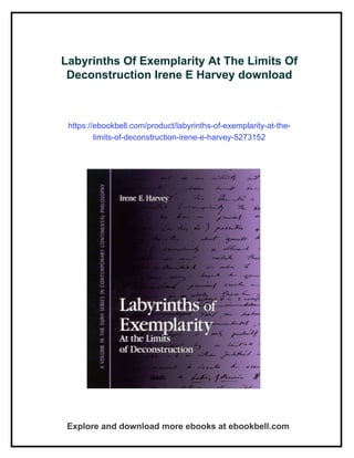 Labyrinths Of Exemplarity At The Limits Of Deconstruction Irene E ...