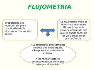 263885959 flujometria | PDF