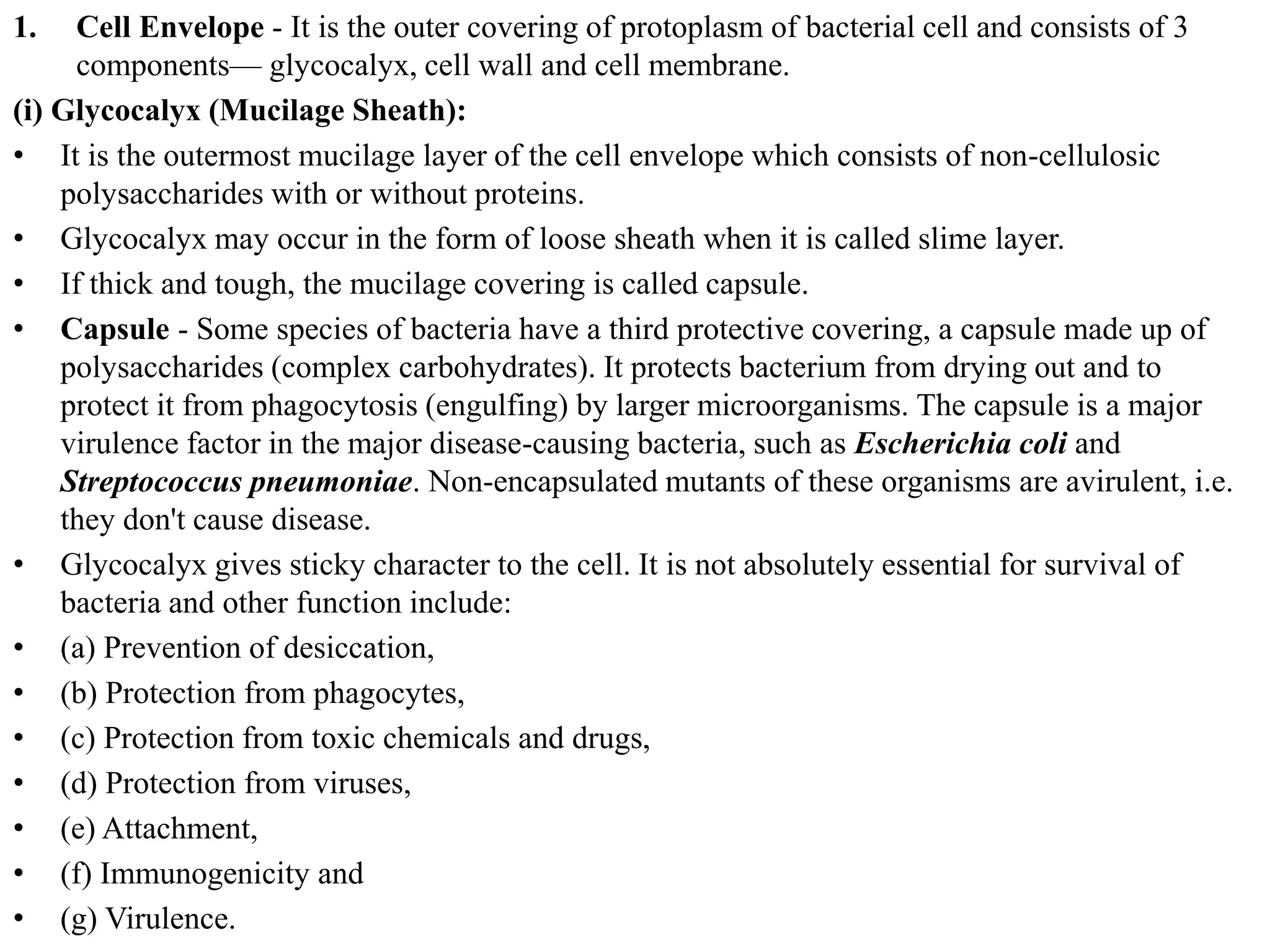 Bacterial cell structure and composition | PPT