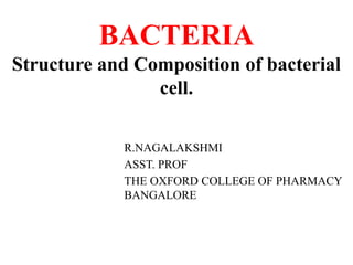 Bacterial cell structure and composition | PPT