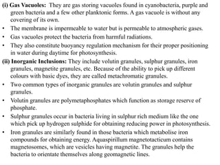 Bacterial cell structure and composition | PPT
