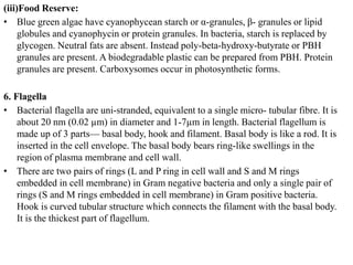 Bacterial cell structure and composition | PPT