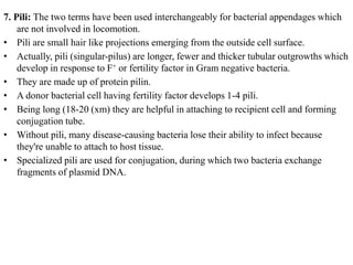 Bacterial cell structure and composition | PPT
