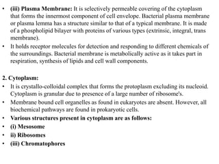 Bacterial cell structure and composition | PPT